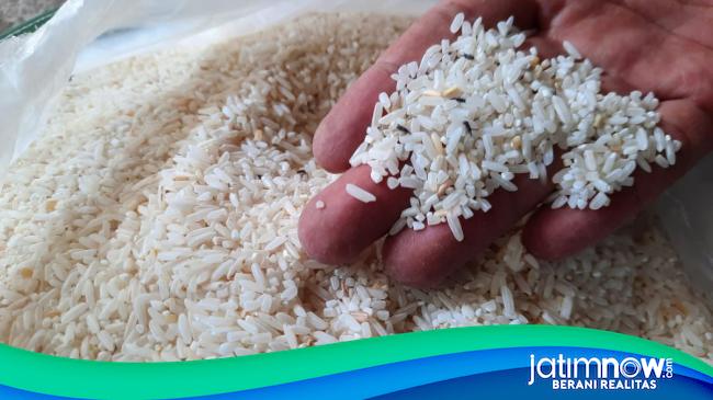 Beras BPNT Jelek dan Berkutu, Temuan Dinsos Kabupaten Mojokerto Mengejutkan