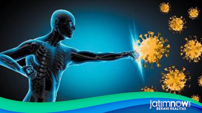 Kenali Sistem Imun Anda, Sebagai Perisai Melawan Varian Virus Baru