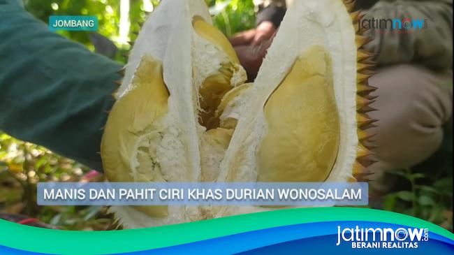 Pahit Manis Cita Rasa Khas Durian Wonosalam