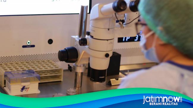 Morula IVF Indonesia Hadirkan Anak Sehat Melalui Teknologi Reproduksi ...