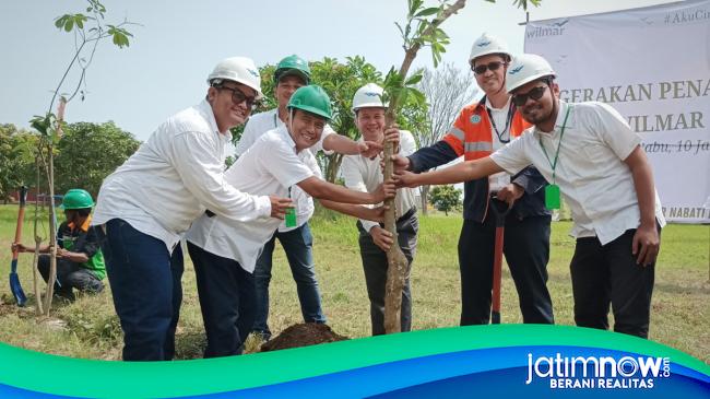 Wilmar Dan Pwi Gresik Tanam 1000 Tabebuya Di Area Green Zone 
