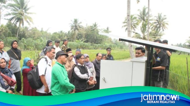 Inovasi Smart Farming untuk Usir Hama dan Tingkatkan Kualitas Padi