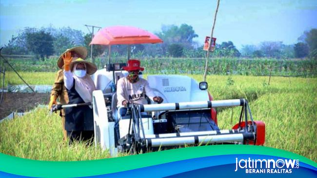 Mengintip Langkah Pemkab Gresik Antisipasi Banjir Kali Lamong Mengintip Langkah Pemkab Gresik Antisipasi Banjir Kali Lamong