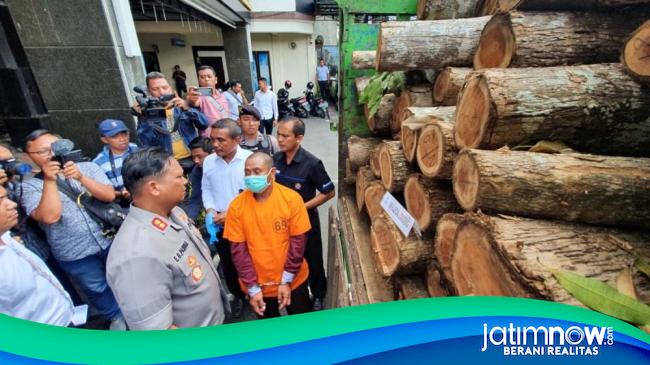 Praktik Illegal Logging Di Tulungagung Dibongkar Satu Orang Ditangkap