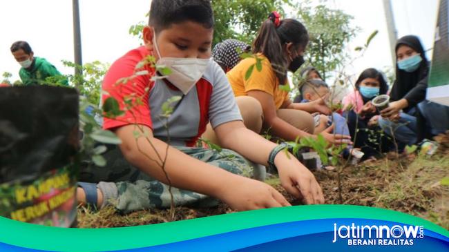 Perjuangan Siswa SD di Surabaya Selamatkan Jeruk Kingkit dari Kepunahan