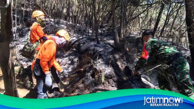 Api Yang Membakar Hutan Di Gunung Panderman Tersisa Dua Titik