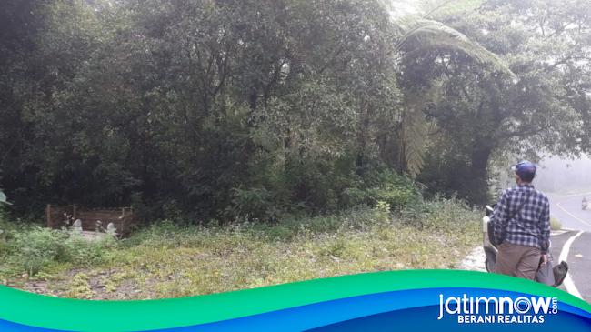 Muncul Makam Misterius di Pinggir Jalan menuju TWA Kawah Ijen Muncul Makam Misterius di Pinggir Jalan menuju TWA Kawah Ijen